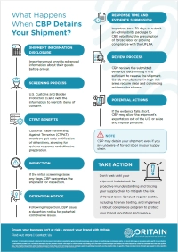 What Happens When CBP Detains Your Shipment? (Explained by Ana Hinojosa ...